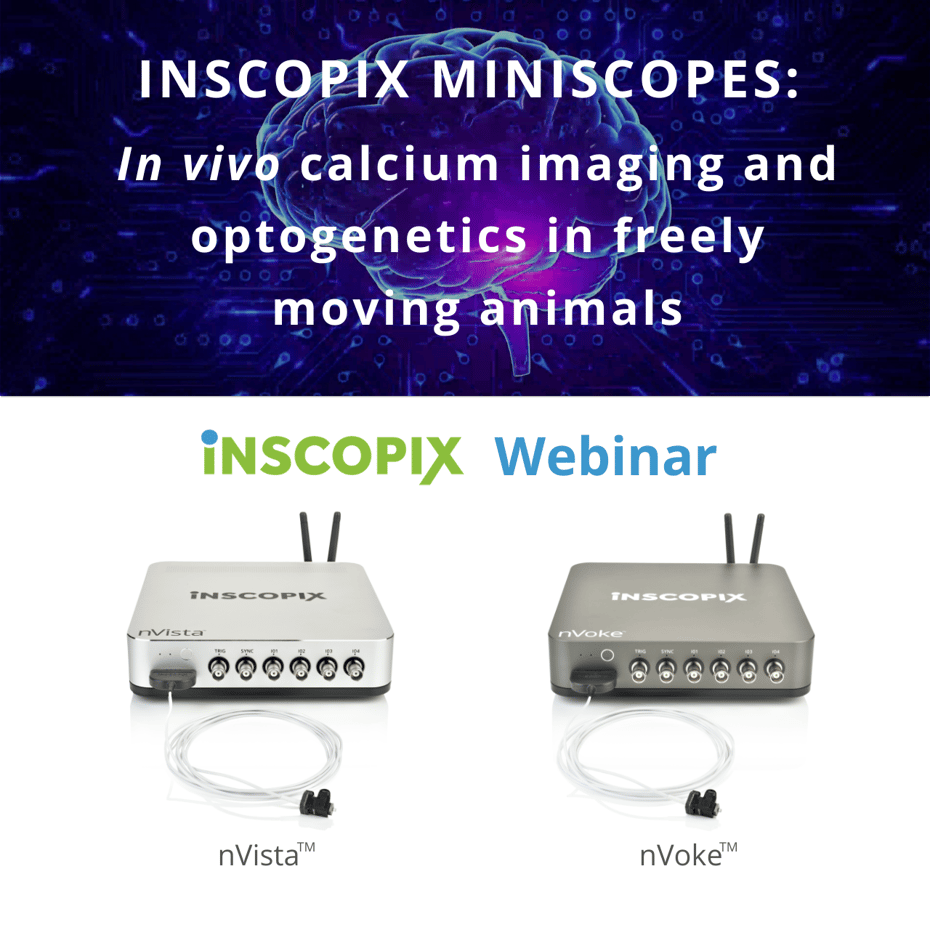 VIEW Webinar-Neural Circuit Mapping with Inscopix Miniscopes