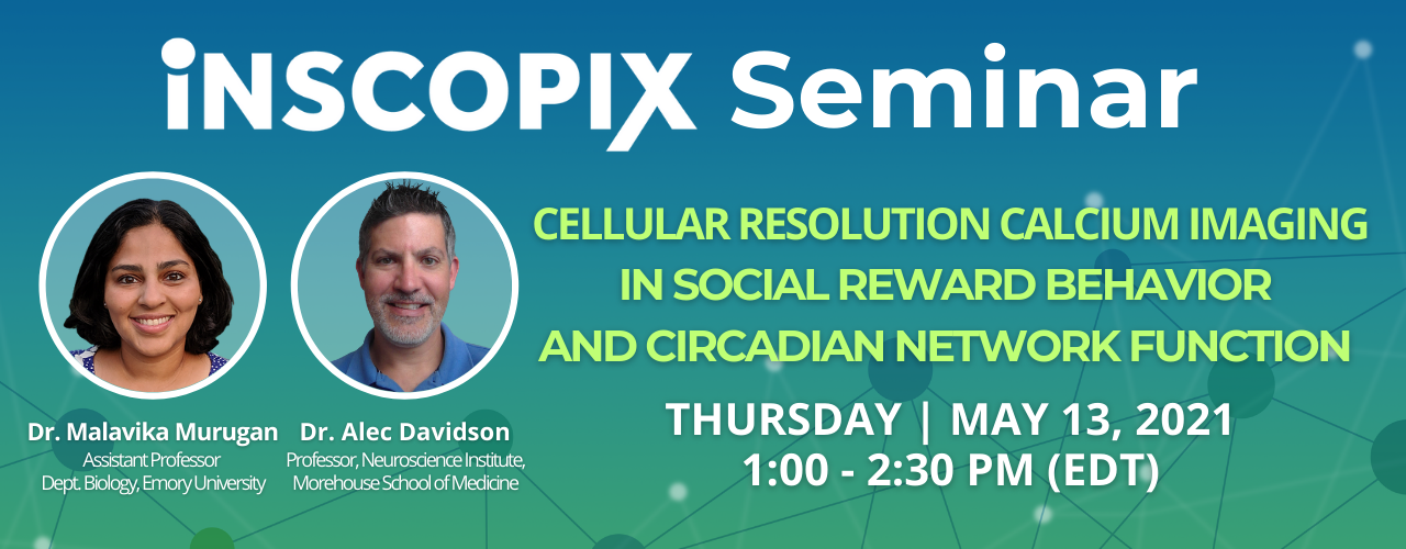 2021_VIEW Inscopix Seminar: Cellular resolution calcium imaging in ...