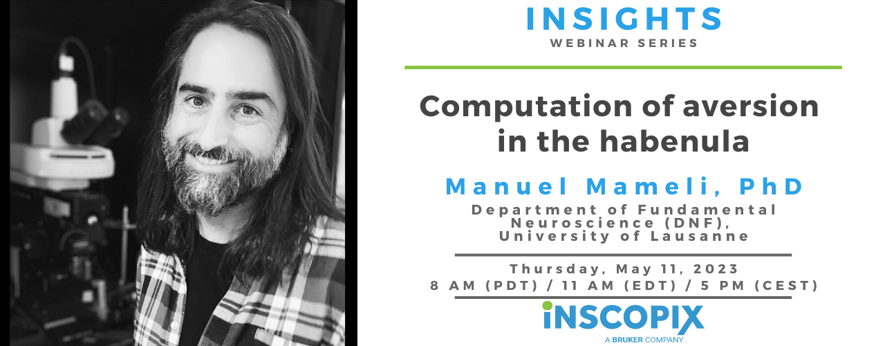 INSIGHTS Webinar: VIEW-Manuel Mameli_Computation of aversion in the ...
