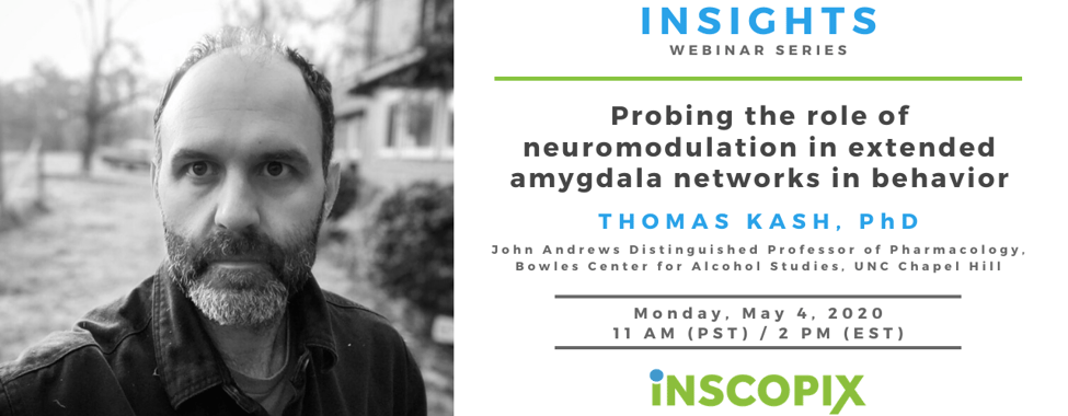 INSIGHTS Webinar: VIEW-Thomas Kash-Probing the role of neuromodulation ...