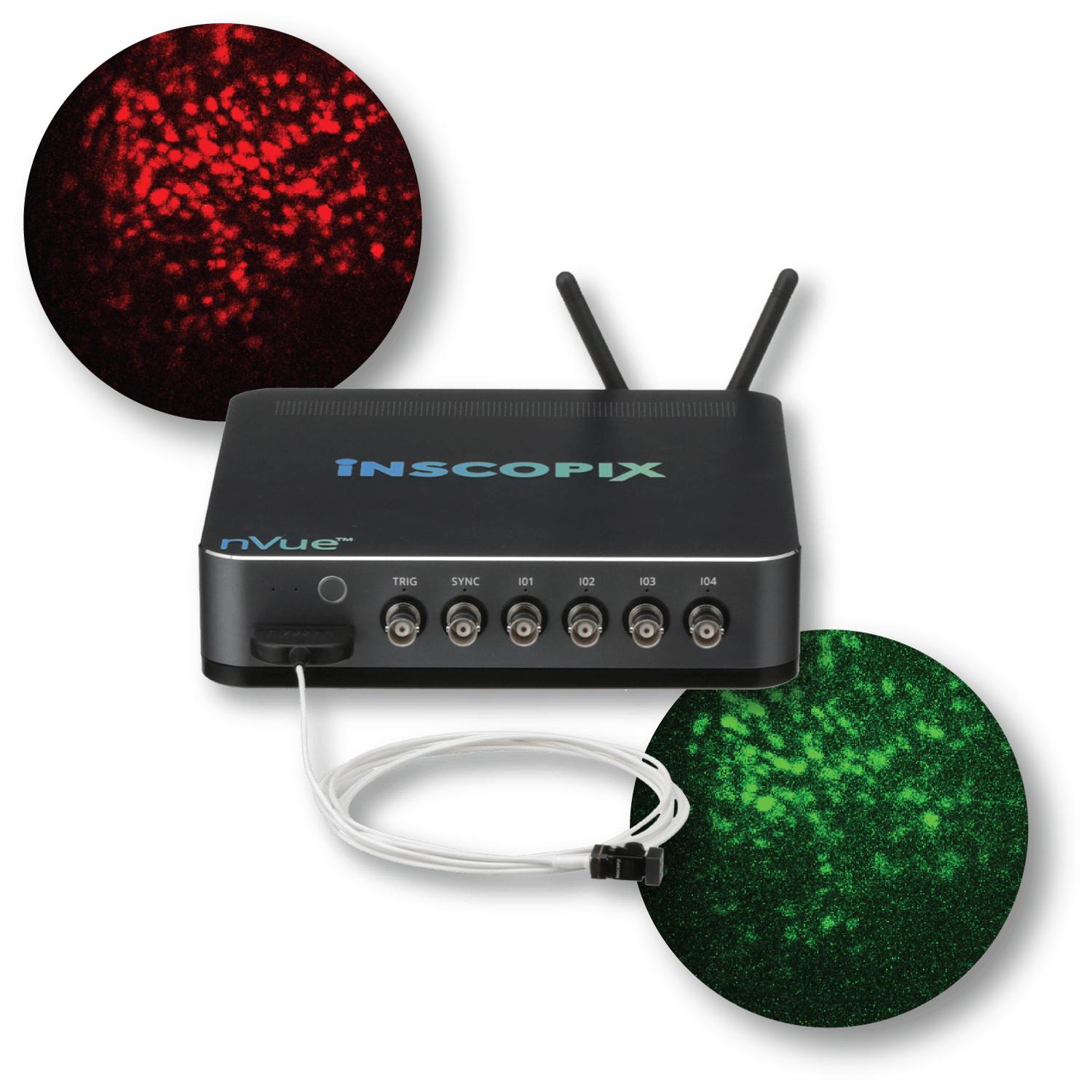 New and Improved Dual Color Imaging for Expanded Insights with nVue