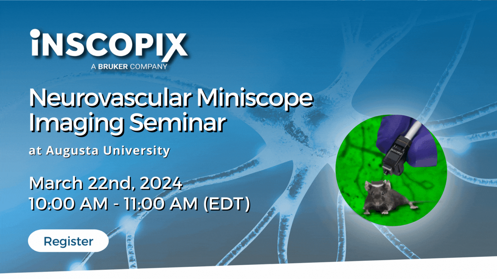 Inscopix Neurovascular Seminar on Miniscope Imaging at Augusta on March ...